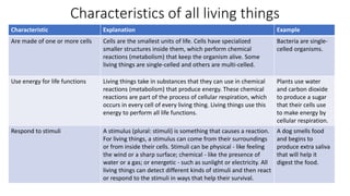 2. General Living thing.pptx. Structure of life. | PPT