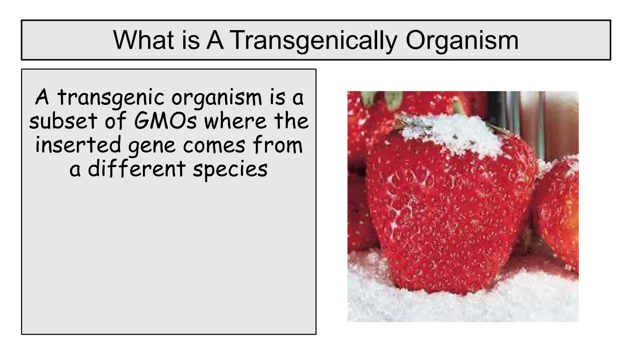 Transgenic organism/Genetically modified organism | PPTX
