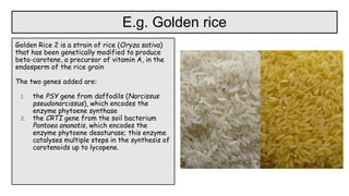 Transgenic organism/Genetically modified organism | PPTX