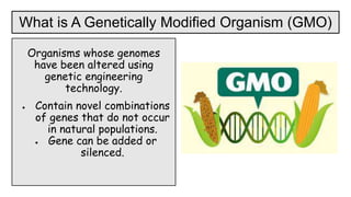 Transgenic organism/Genetically modified organism | PPTX