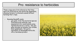 Transgenic organism/Genetically modified organism | PPTX