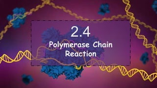 2.4 DNA amplification using polymerase chain reaction.pptx