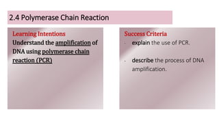 2.4 DNA amplification using polymerase chain reaction.pptx