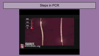 2.4 DNA amplification using polymerase chain reaction.pptx