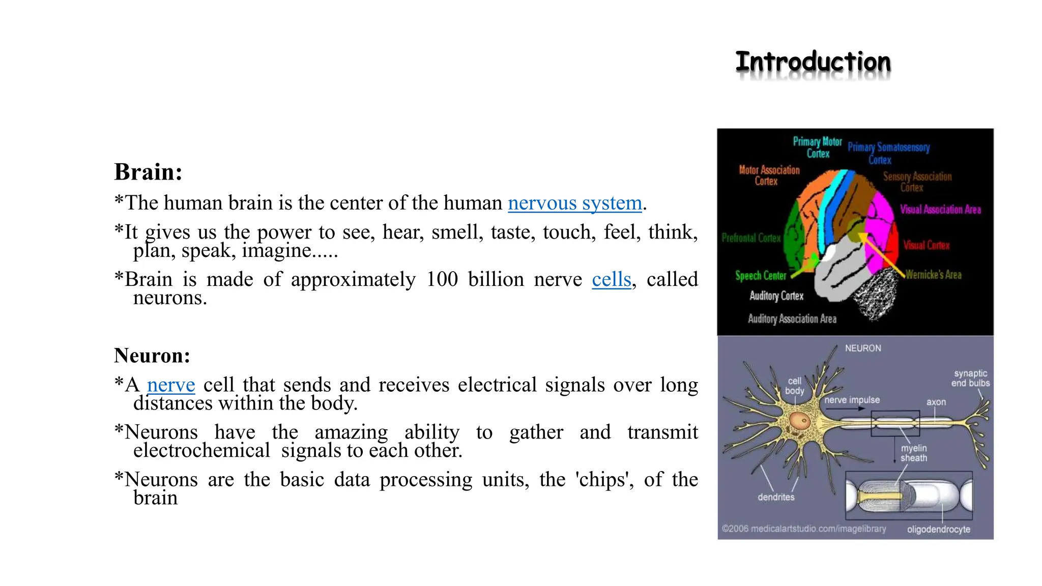 The human brain is the center of the human nervous system. *It gives us ...