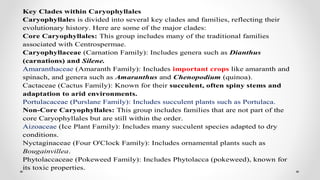 Centrospermae : Salient features, floral & families diversity, and ...
