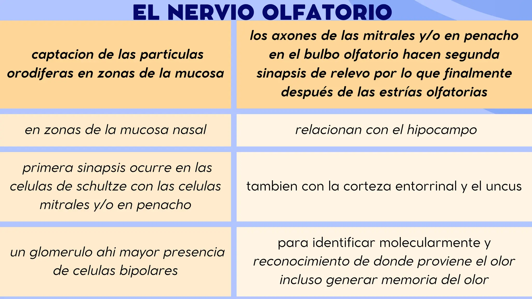 2.1 pares craneales olfatorio1,2 y 3.pdf