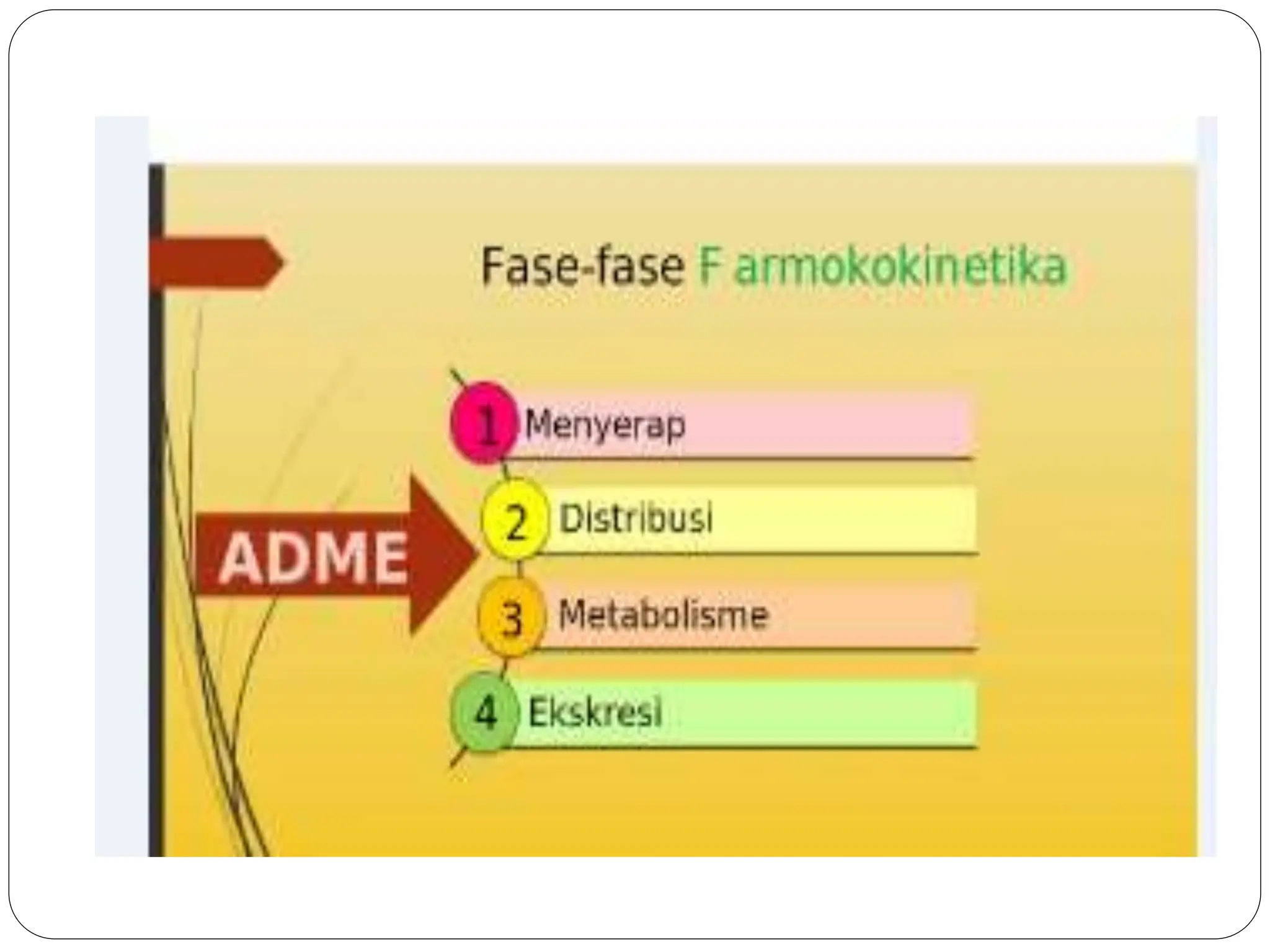 2. MEKANISME KERJA OBAT FARMAKOKINETIKA.pptx