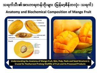Introduction to Mango Value Added Products Myanmar.pptx