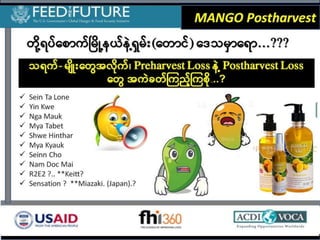 Introduction to Mango Value Added Products Myanmar.pptx