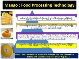 Introduction to Mango Value Added Products Myanmar.pptx