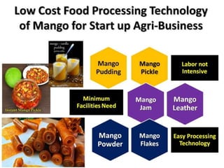 Introduction to Mango Value Added Products Myanmar.pptx