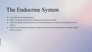 Biology, brain and behaviour (for foundation students) | PPTX