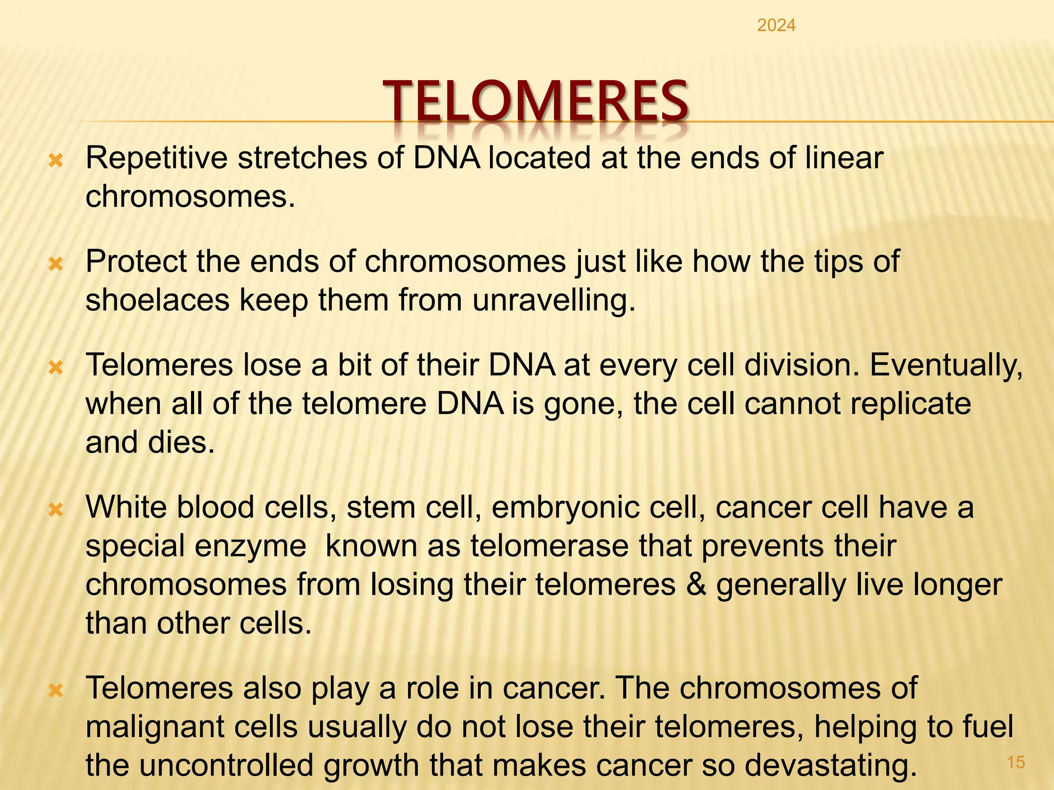 DNA, Genes and Chromosomes Structure.pptx