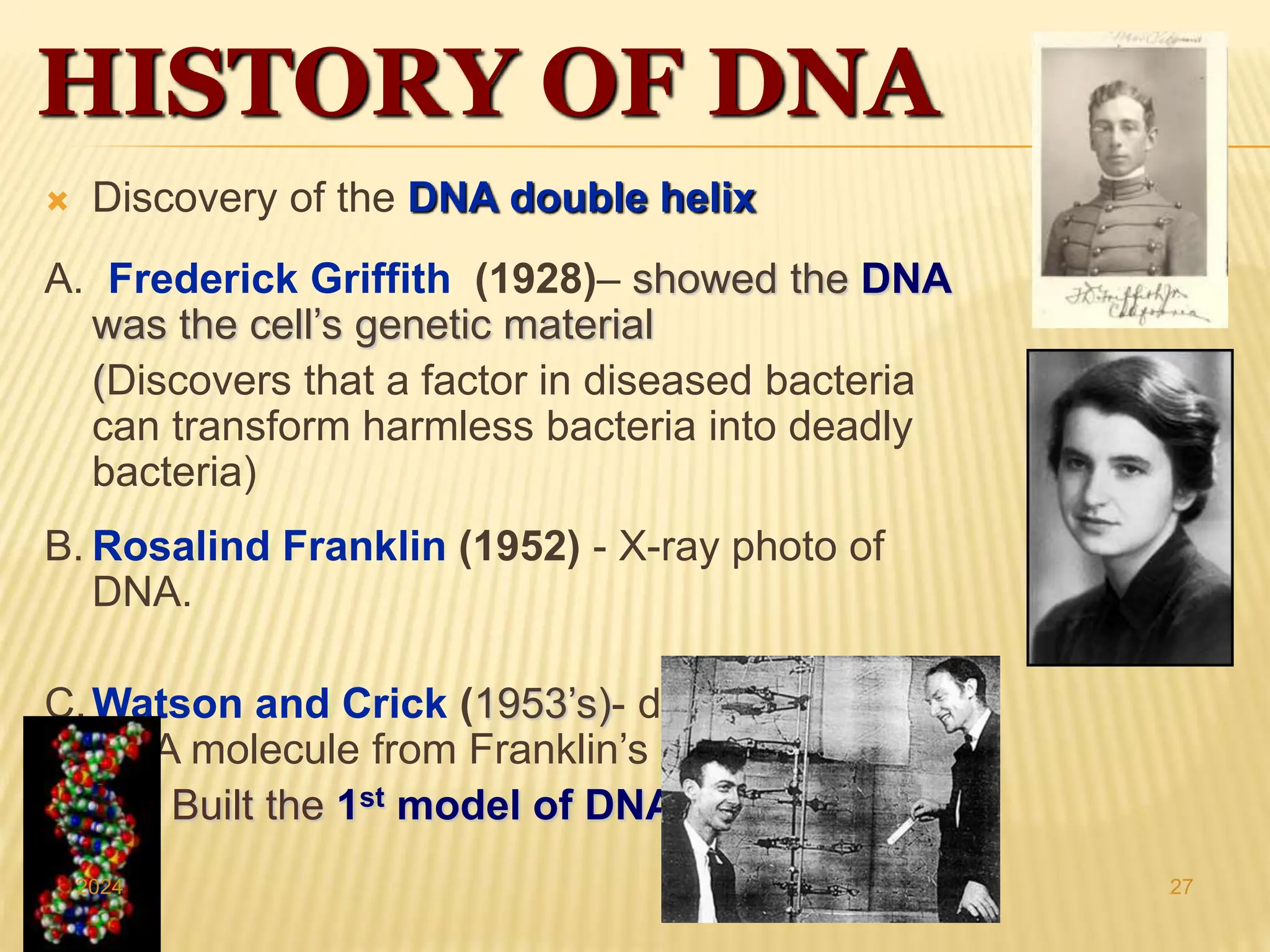 DNA, Genes and Chromosomes Structure.pptx