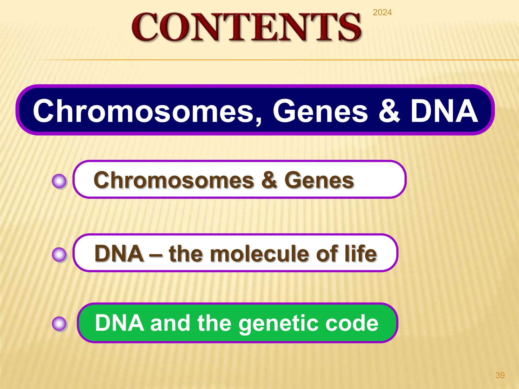 DNA, Genes and Chromosomes Structure.pptx