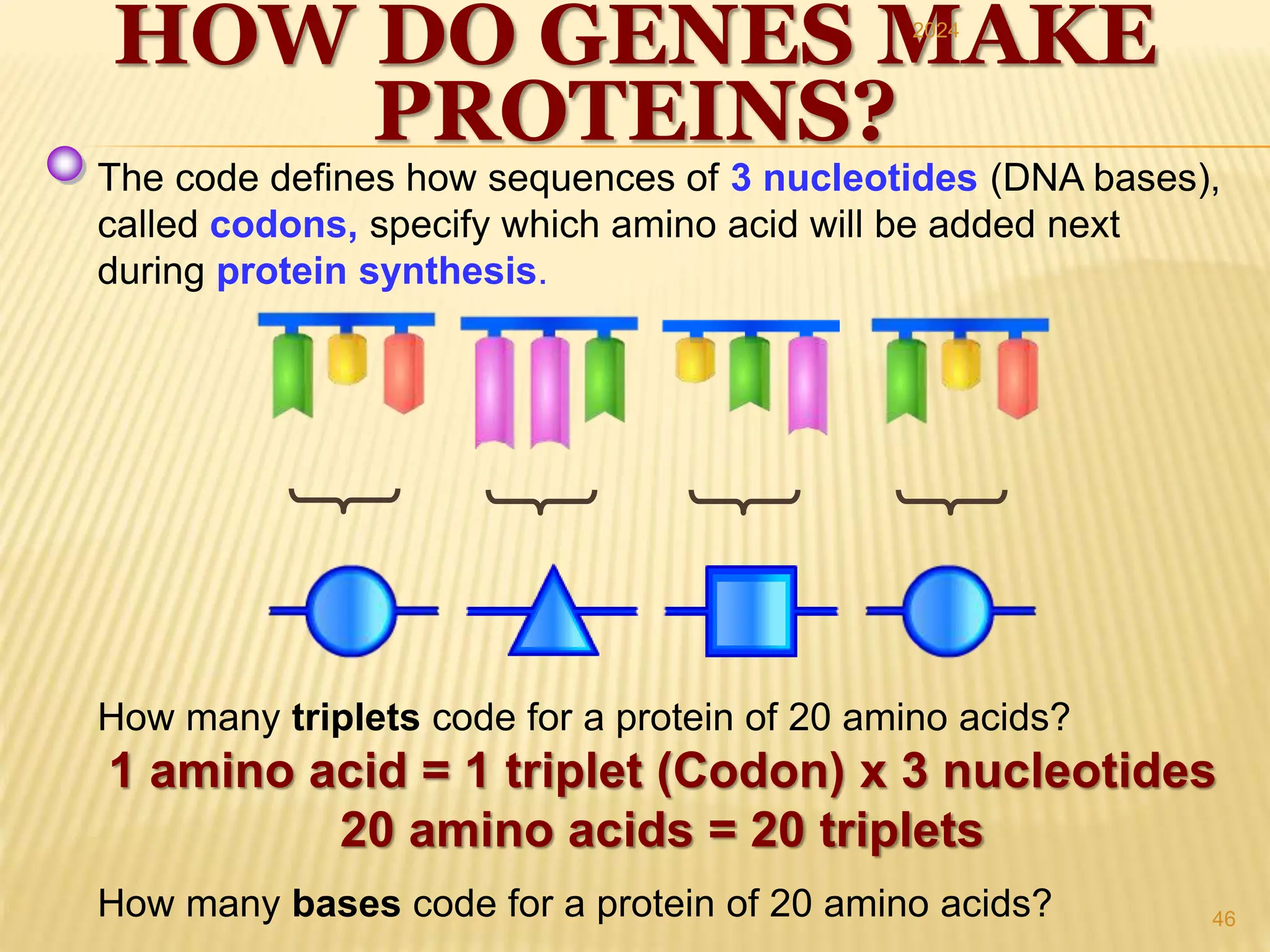 DNA, Genes and Chromosomes Structure.pptx