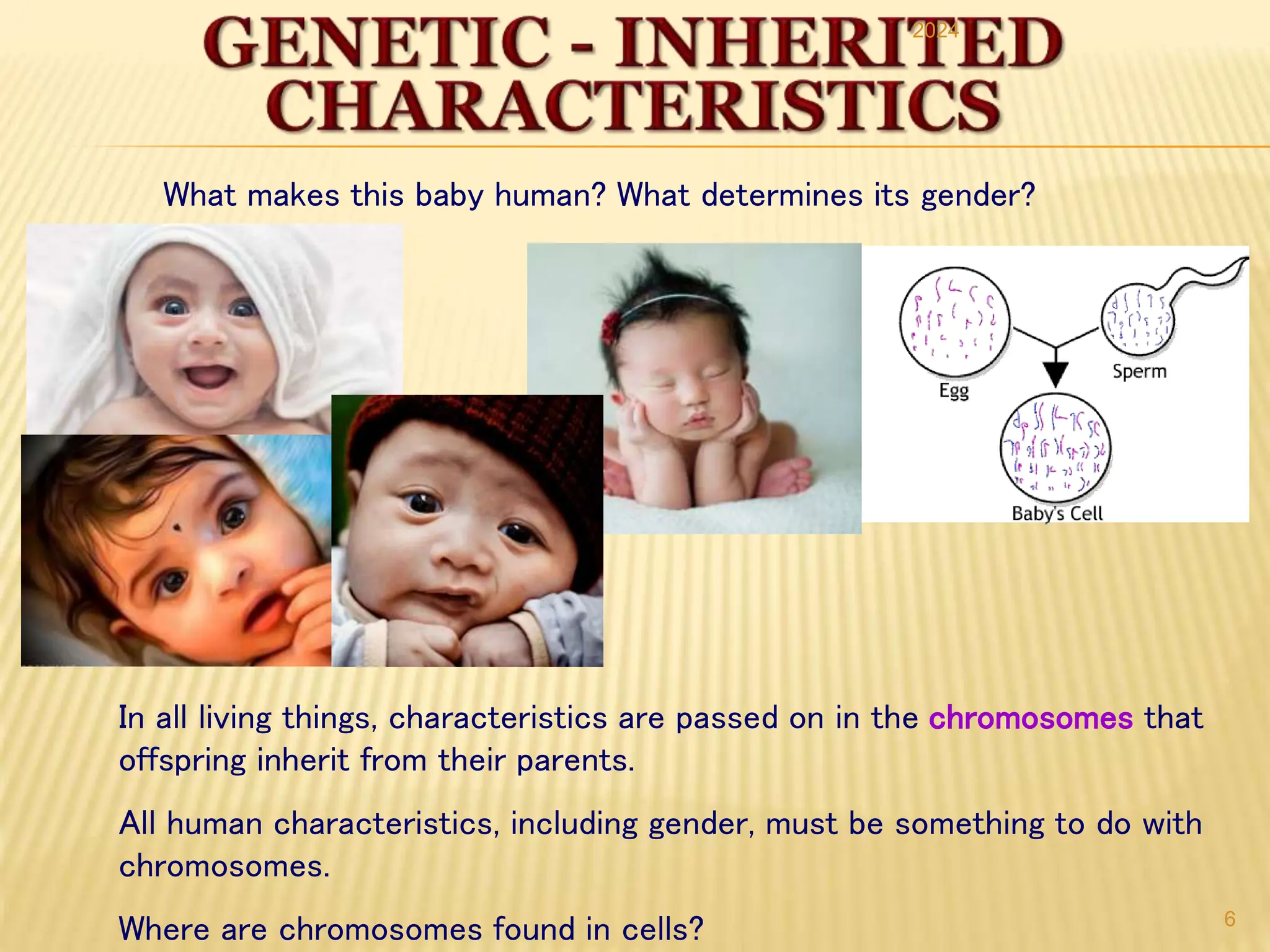 DNA, Genes and Chromosomes Structure.pptx