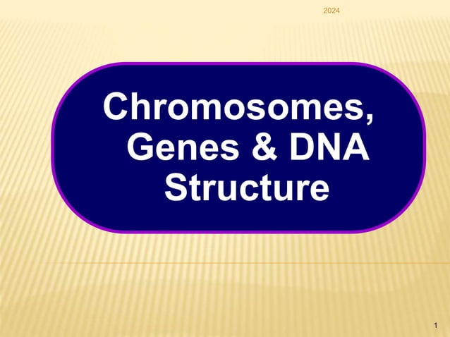 DNA, Genes and Chromosomes Structure.pptx