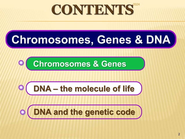 DNA, Genes and Chromosomes Structure.pptx