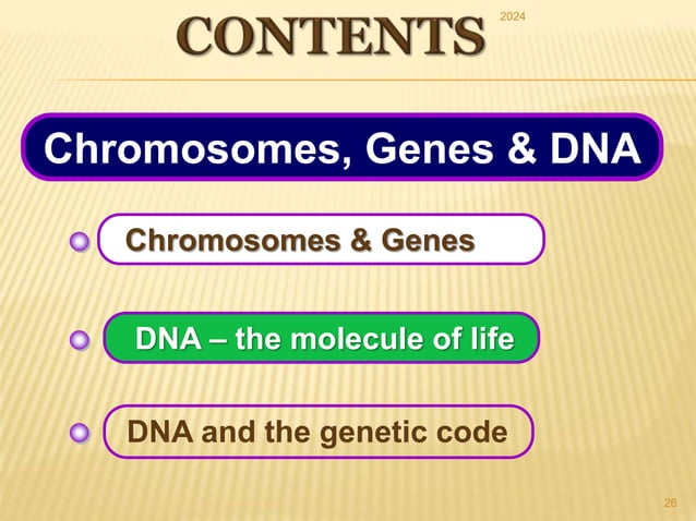 DNA, Genes and Chromosomes Structure.pptx