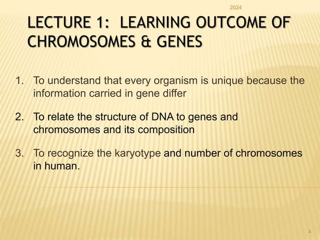 DNA, Genes and Chromosomes Structure.pptx