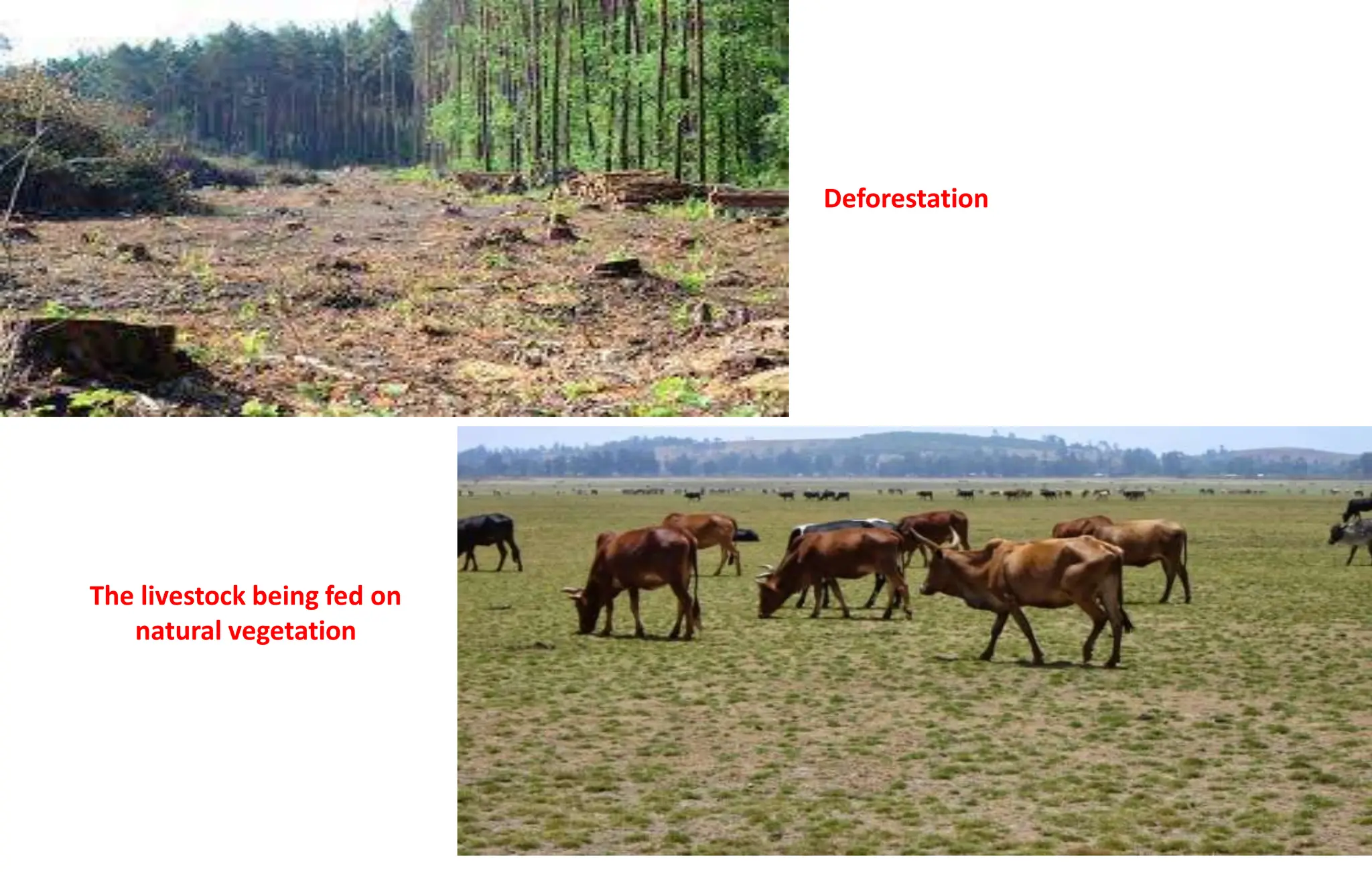 2. Soil erosion, causes and classification of soil erosion | PPTX