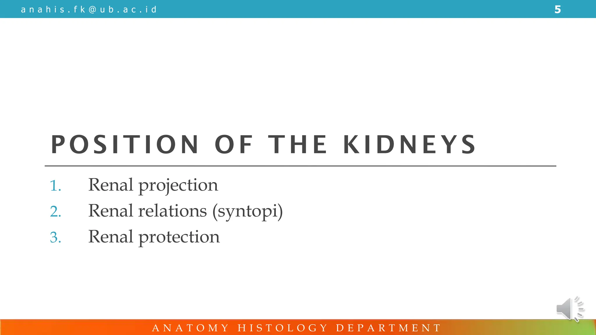Anatomy of Genitourinary System PDF FINAL | PDF | Medical Health