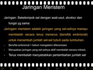 Anatomi Tumbuhan: Jaringan meristem pada Tumbuhan | PPT