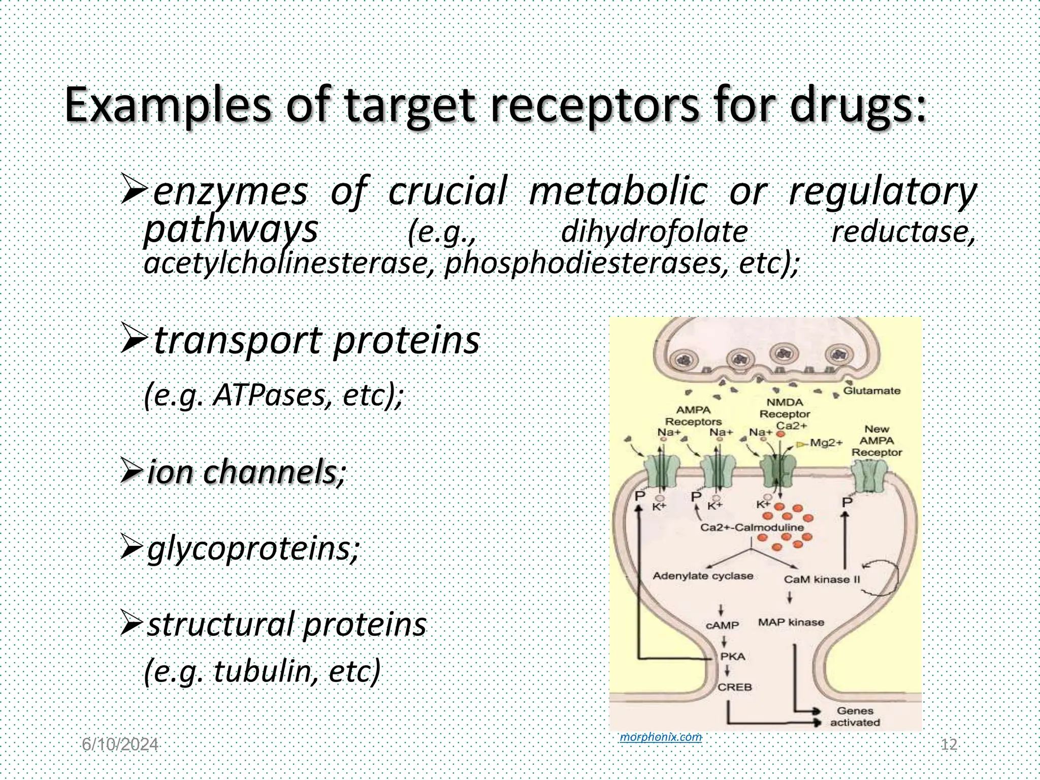 2. PHARMACODYNAMICS hangoma.pptx pharmacology | PPTX