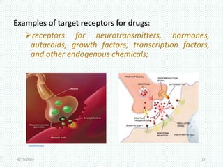 2. PHARMACODYNAMICS hangoma.pptx pharmacology | PPT