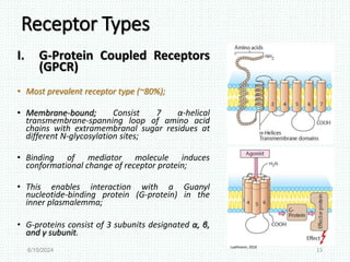 2. PHARMACODYNAMICS hangoma.pptx pharmacology | PPT