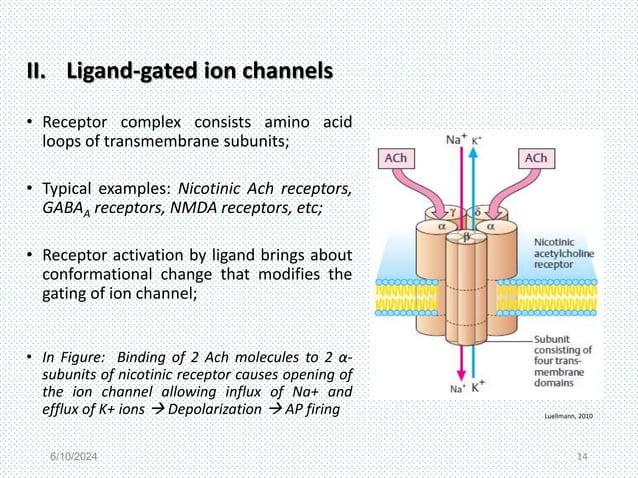 2. PHARMACODYNAMICS hangoma.pptx pharmacology | PPT