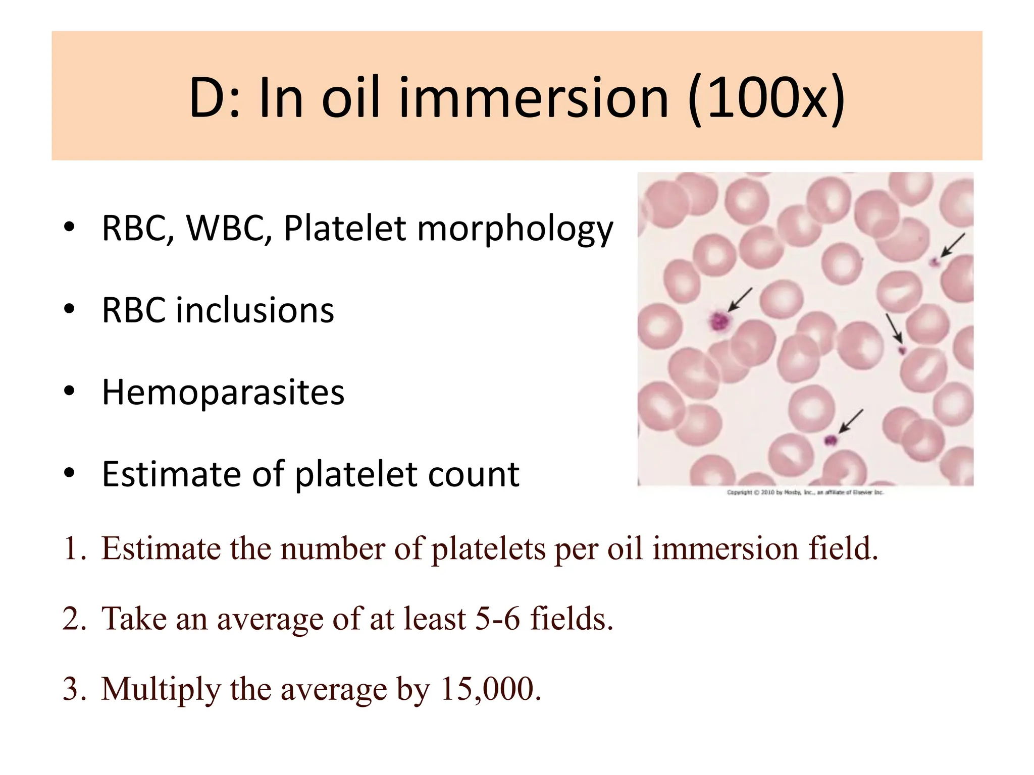 Peripheral blood smeared examination test | PDF