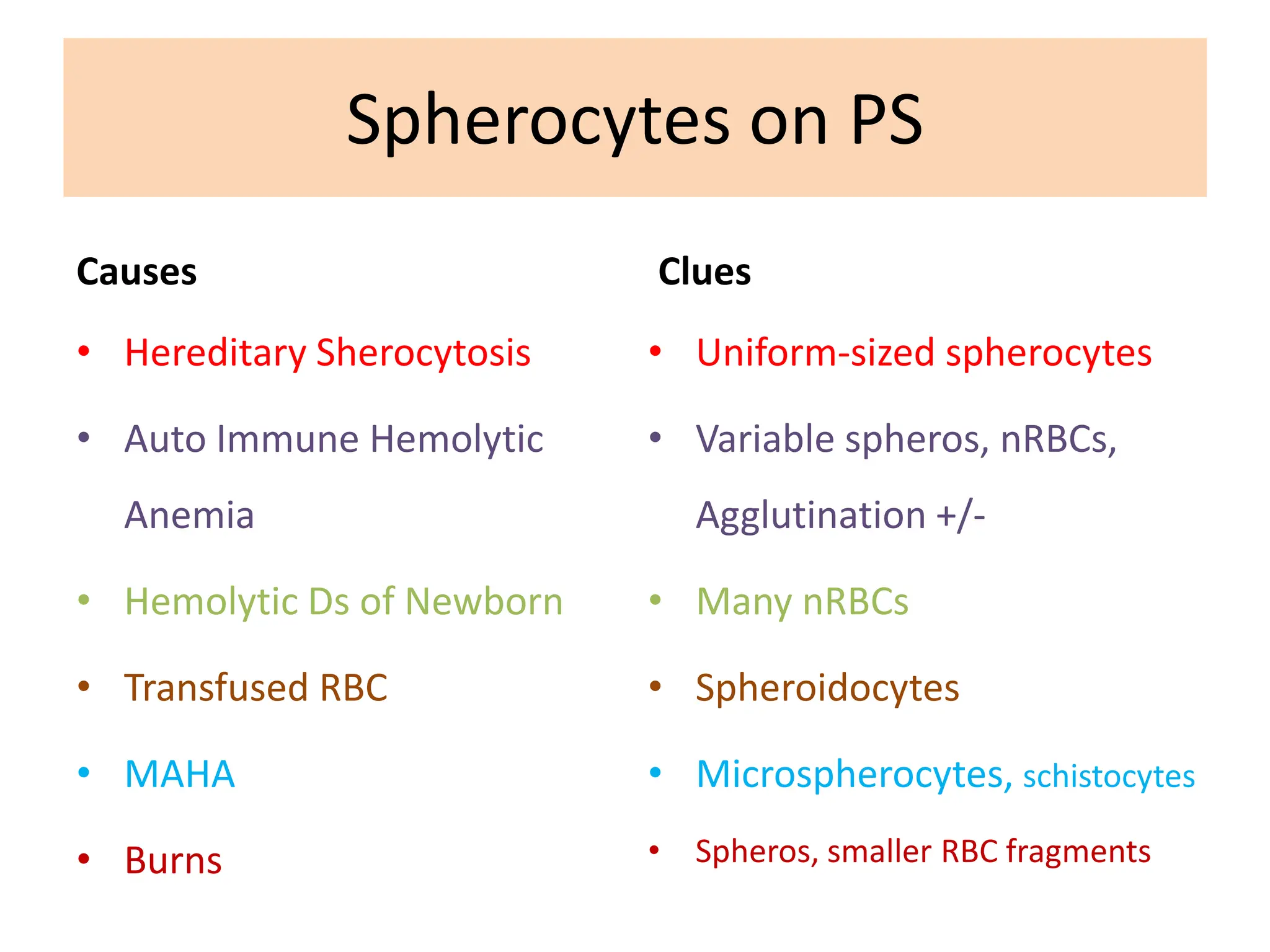 Peripheral blood smeared examination test | PDF