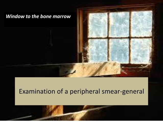 Peripheral blood smeared examination test | PPT