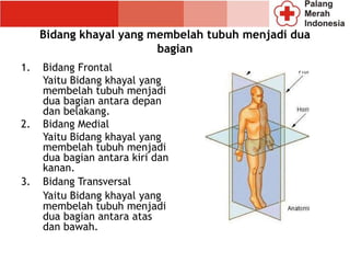ANATOMI DAN FAAL DASAR DALAM PERTOLONGAN | PPT
