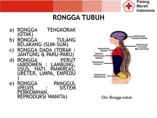 ANATOMI DAN FAAL DASAR DALAM PERTOLONGAN | PPT