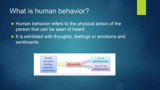 2.-HBO-Overview-of-the-Course.pptx human behavior | PPT