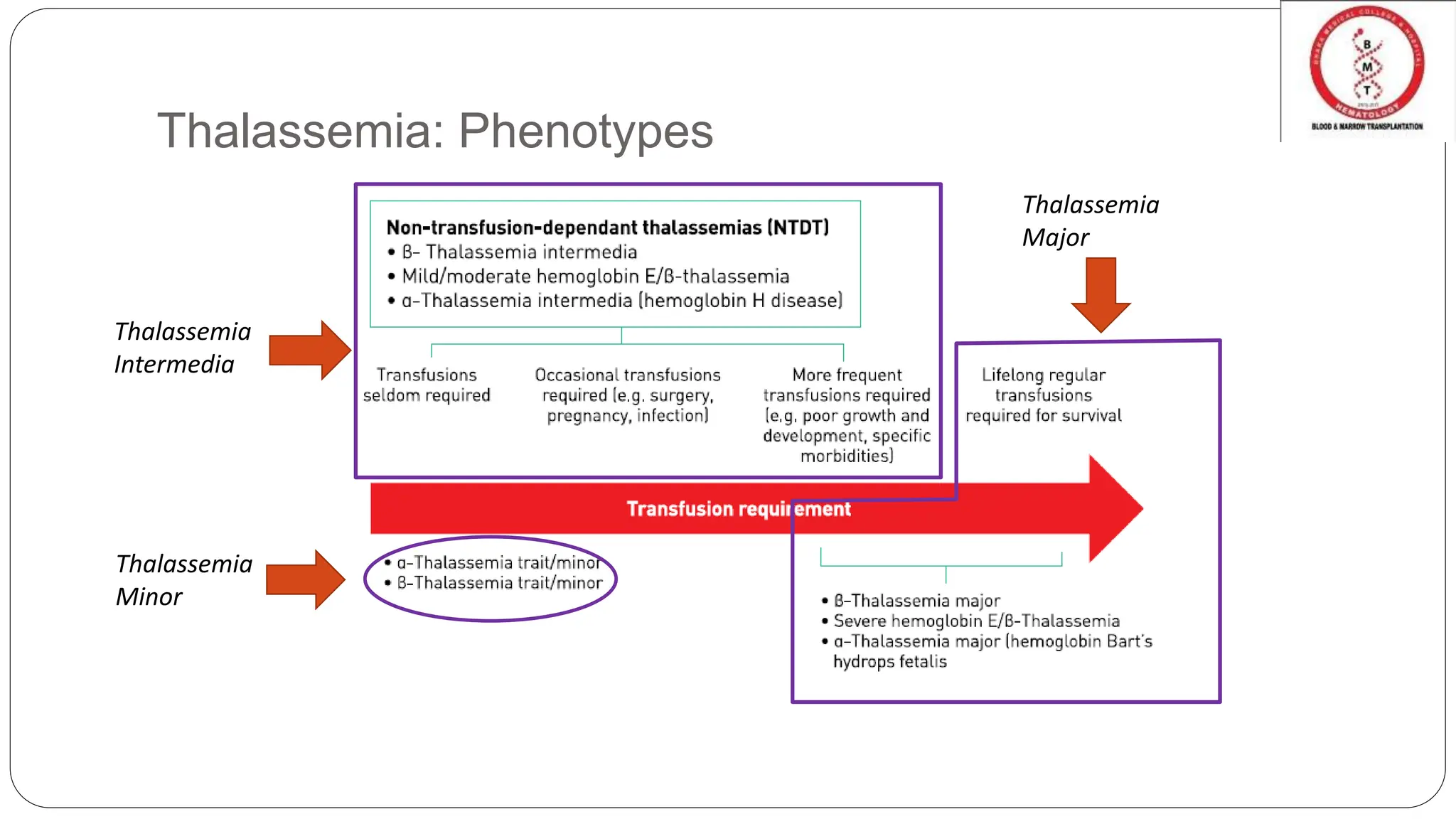 2. Session 1 - Diagnosis of thalassemia - Dr. Akhil Ranjan Biswas.ppt