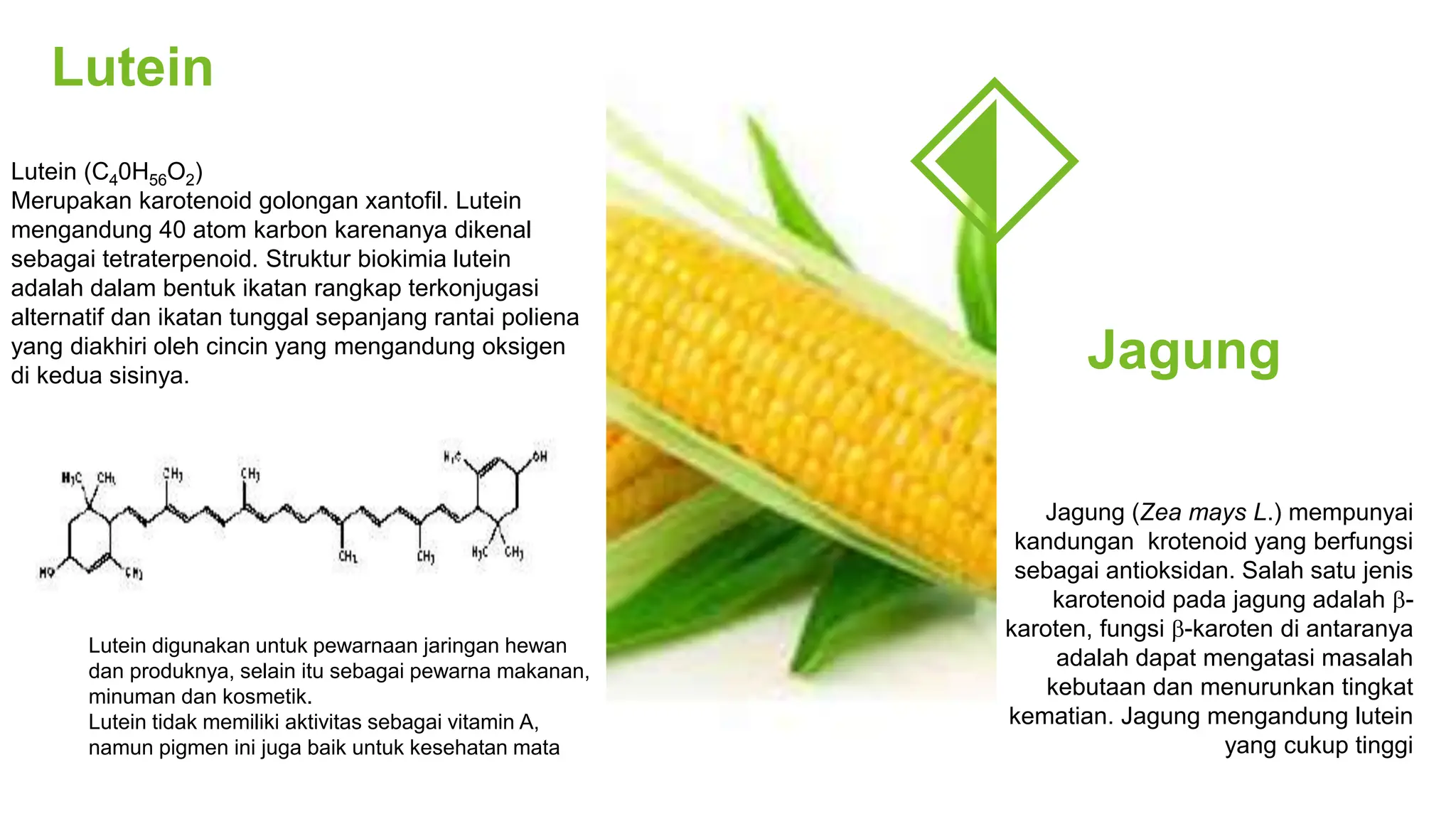 Karotenoid adalah salah satu bahan biaktif yang terdapat pada pangan | PPTX