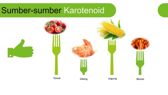 Karotenoid adalah salah satu bahan biaktif yang terdapat pada pangan | PPTX