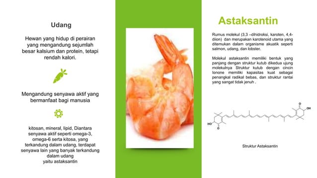 Karotenoid adalah salah satu bahan biaktif yang terdapat pada pangan | PPTX