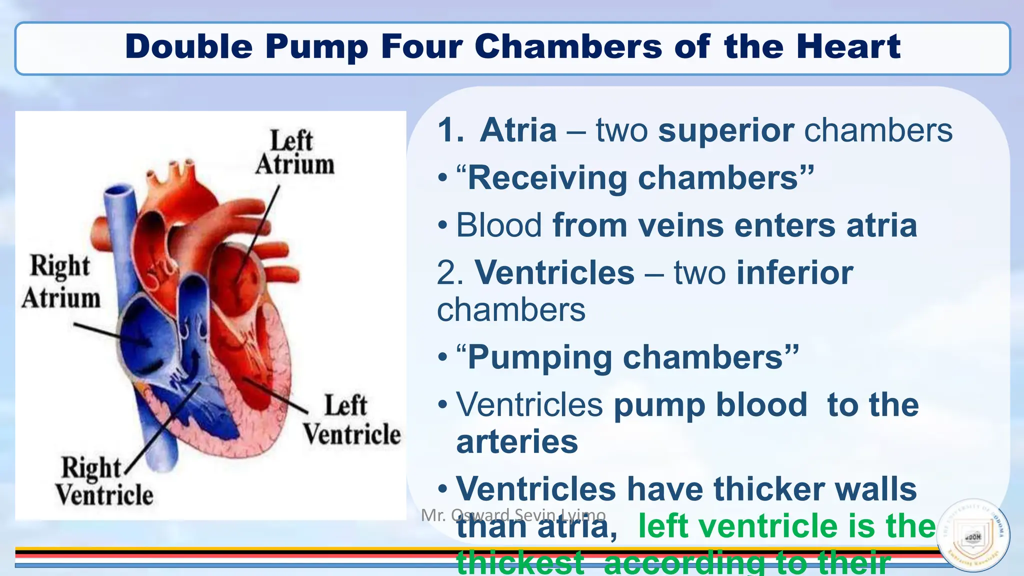 2. Cardiovascular System.and proper functioning of the heart. | PPTX