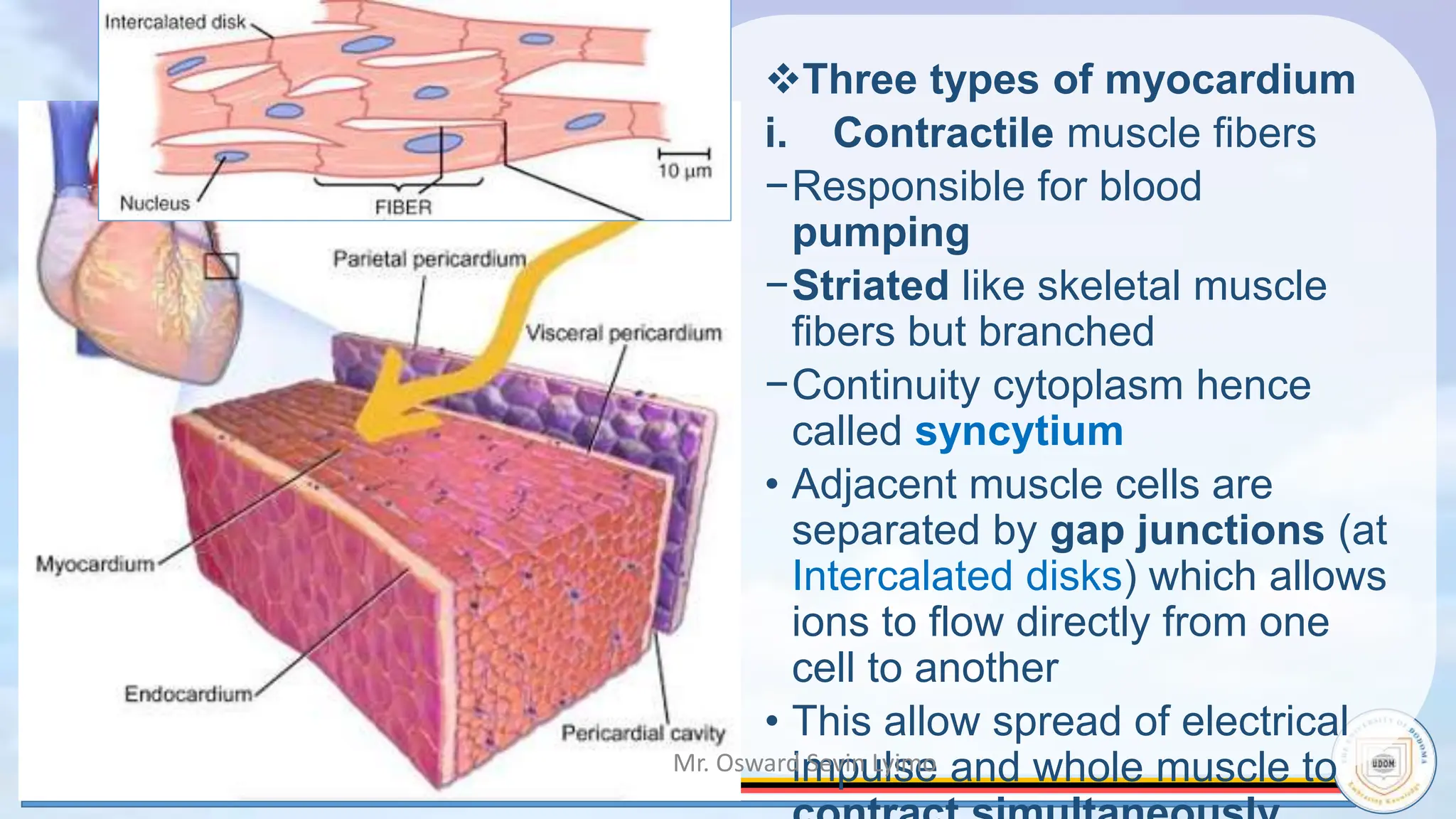 2. Cardiovascular System.and proper functioning of the heart. | PPTX