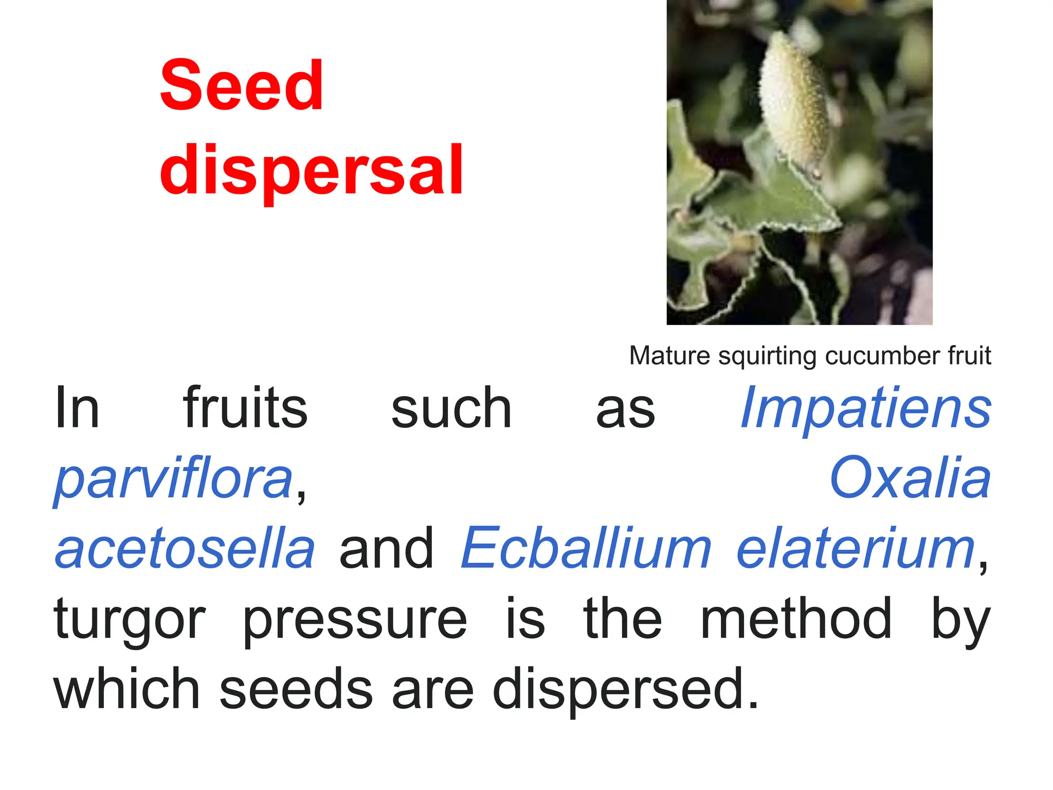 2. Osmotic pressure, osmotic potential, turgor pressure, wall pressure ...