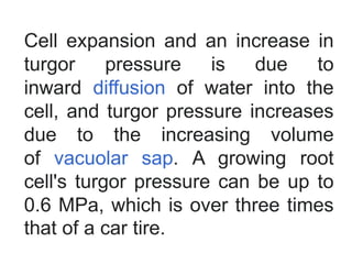 2. Osmotic pressure, osmotic potential, turgor pressure, wall pressure ...