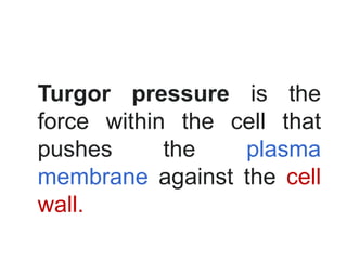 2. Osmotic pressure, osmotic potential, turgor pressure, wall pressure ...