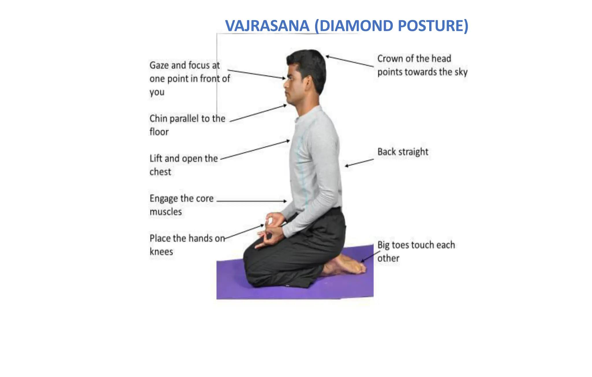 kneeling asana - Comprehensive understanding of kneeling asana | PPT