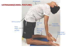 kneeling asana - Comprehensive understanding of kneeling asana | PPT